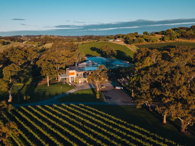 Winemaking - Lambert Estate